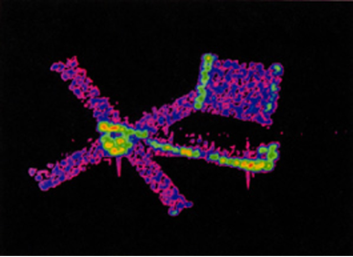 MIT Lincoln Laboratory Timeline | MIT Lincoln Laboratory Timeline